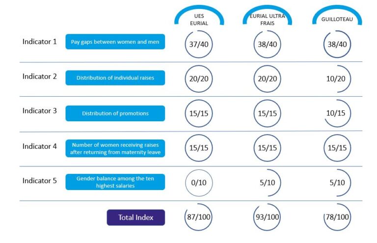Professional equality index - Eurial